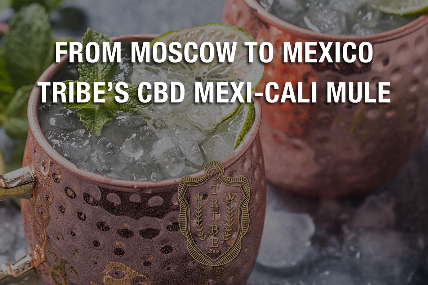From Moscow To Mexico — Try Tribe’s CBD Mexi-Cali Mule