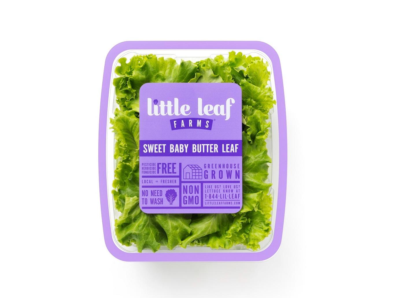 Back To School Healthy Foods Snacks
