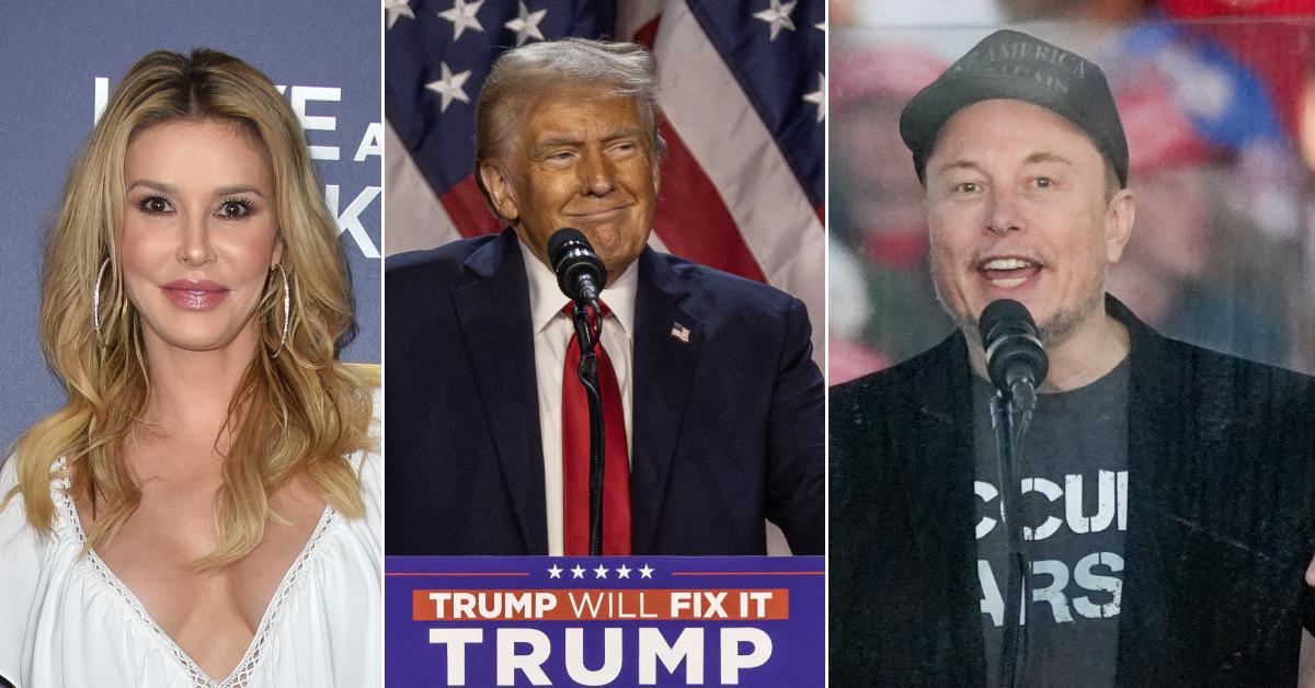 Brandi Glanville Jokes Elon Musk & Donald Trump Are Sleeping Together