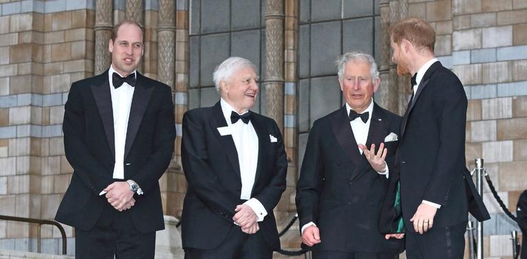 King Charles Urged To Ignore Prince Harry As He Battles Cancer