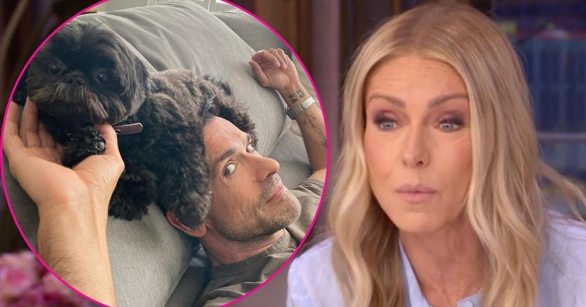 Panicked Kelly Ripa Called 911 After Locking Dog, Keys & Phone In Car