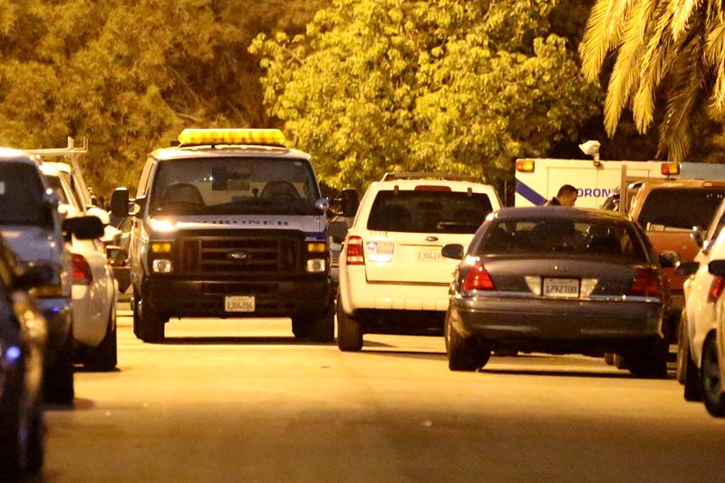 New Details Emerge After 'Bridalplasty' Star Lisa-Marie Nagle Found Dead