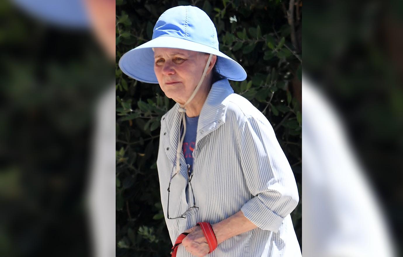 Sally Field, 77, Looks Unrecognizable As She Walks Her Dog: Photos