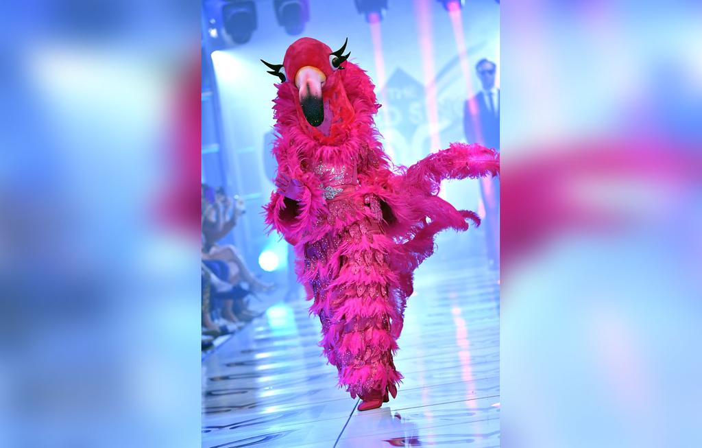 Adrienne Bailon Revealed To Be The Pink Flamingo On ‘The Masked Singer’