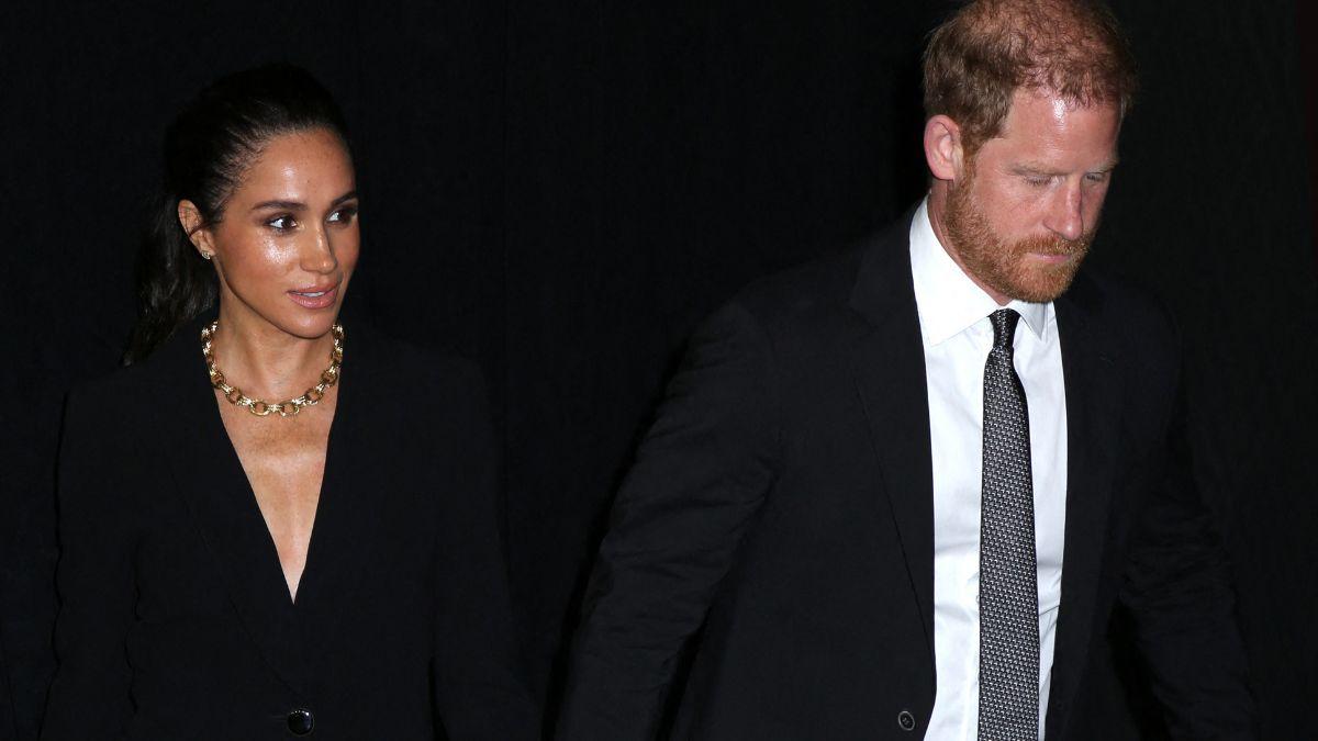 Meghan & Harry Have 'Separate Lives' As They Work On Different Careers