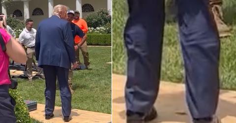 Is Donald Trump Wearing A Catheter? Or Did His Bulge Show At UFC Fight