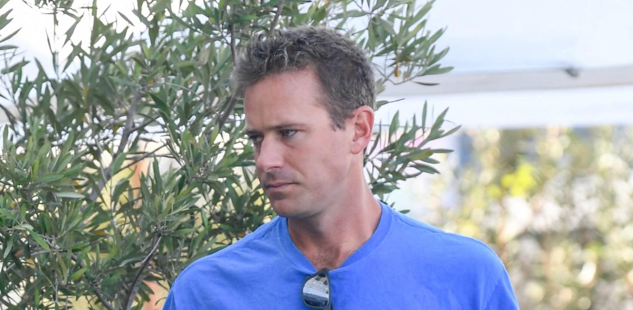 Armie Hammer & Ex Pack On PDA 2 Years After Actor's Fall From Grace