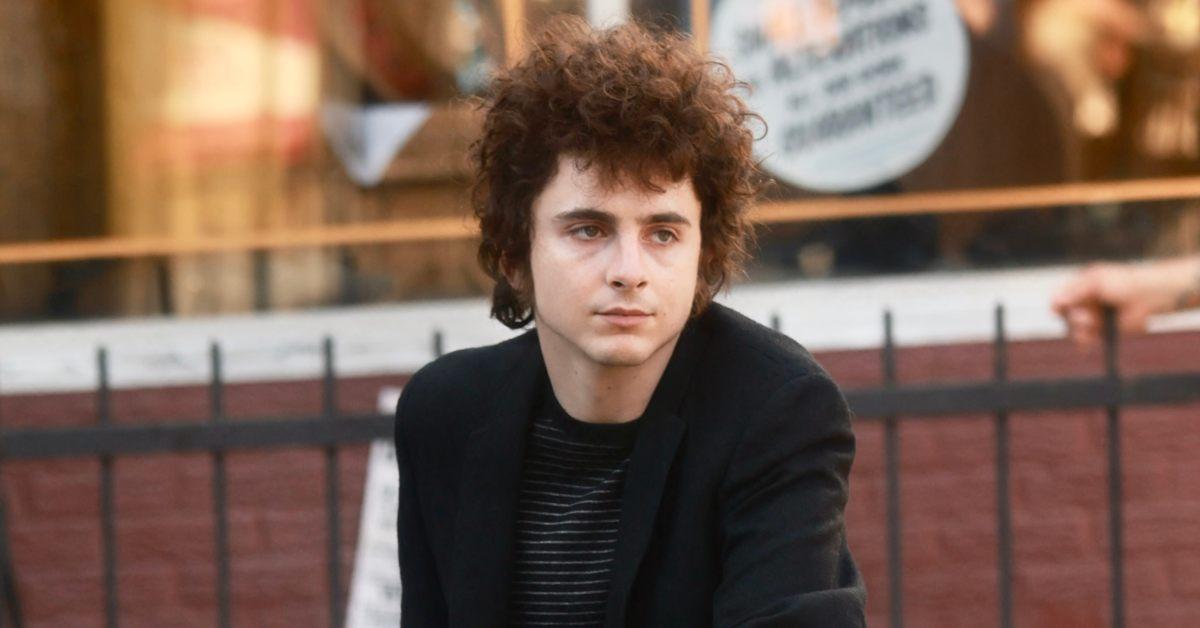 Timothee Chalamet's Impression Of Bob Dylan's Voice Gets Mixed Reviews