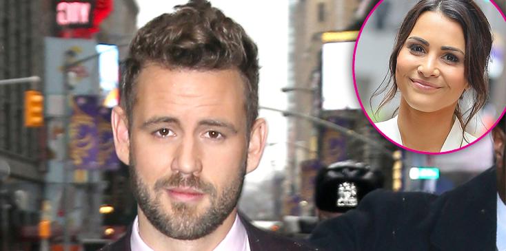 Nick Viall Makes Shocking Confession To Ex Andi Dorman About His Final Rose