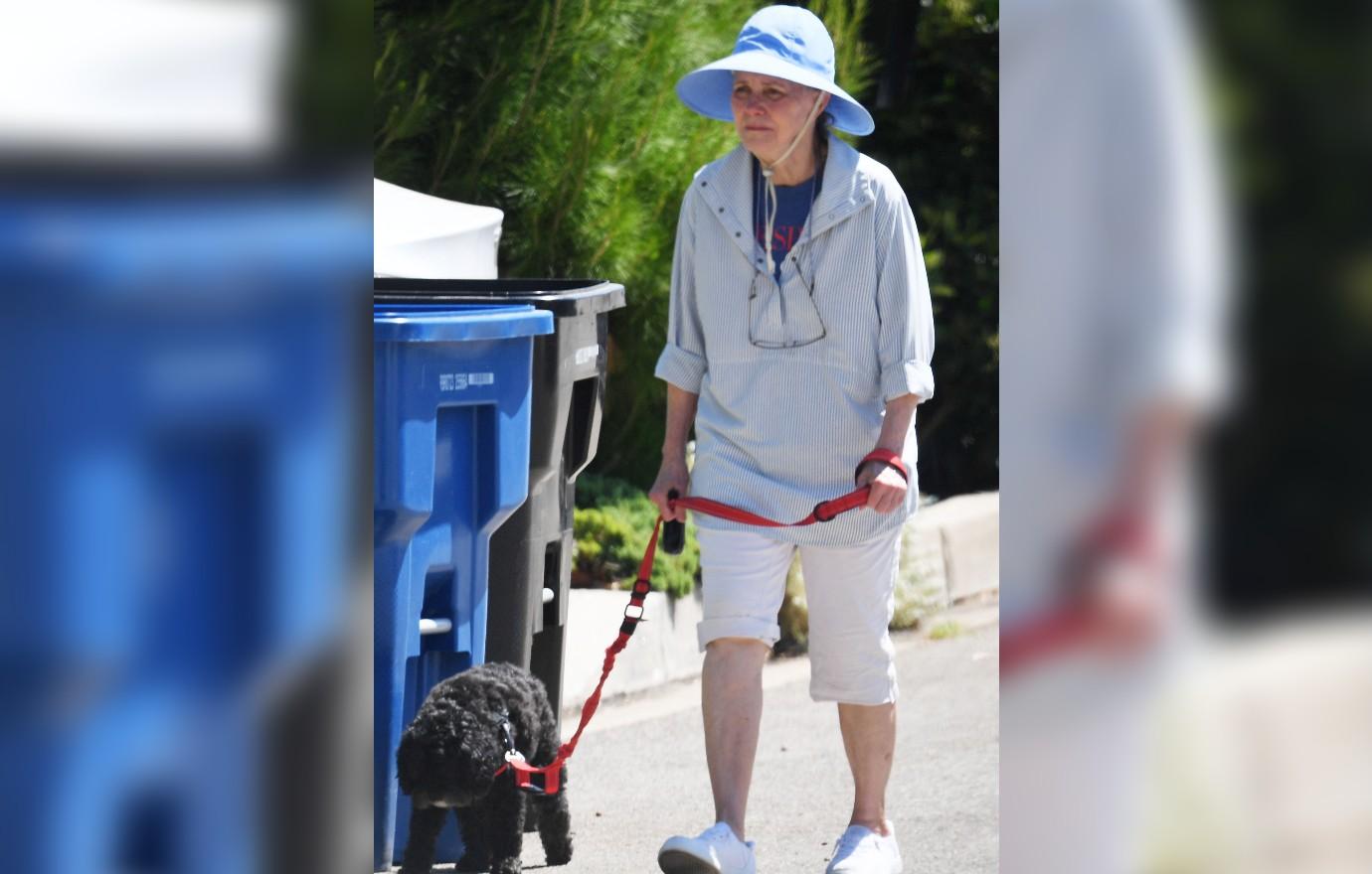 Sally Field, 77, Looks Unrecognizable As She Walks Her Dog: Photos