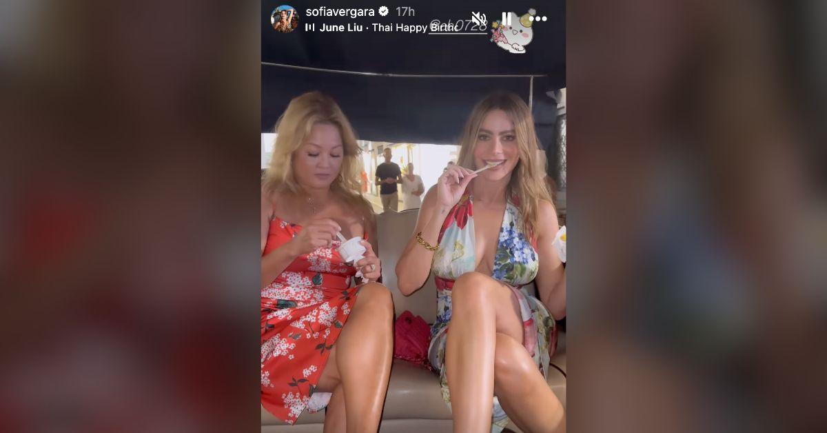 Sofia Vergara Posts Sultry Photo In Plunging Dress With Sweet Treat