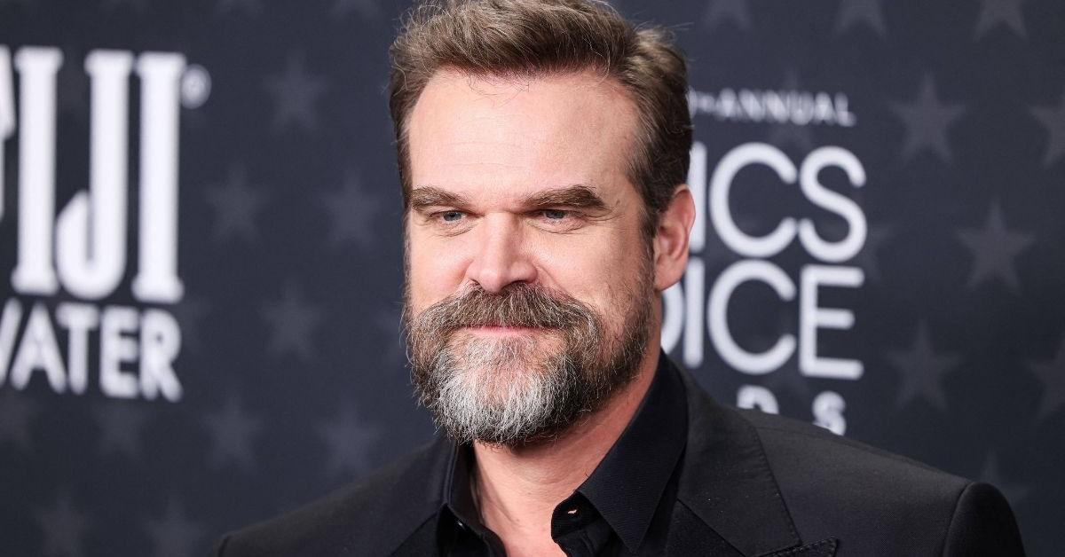 David Harbour Had To Face 'Demons' After Quitting Drinking