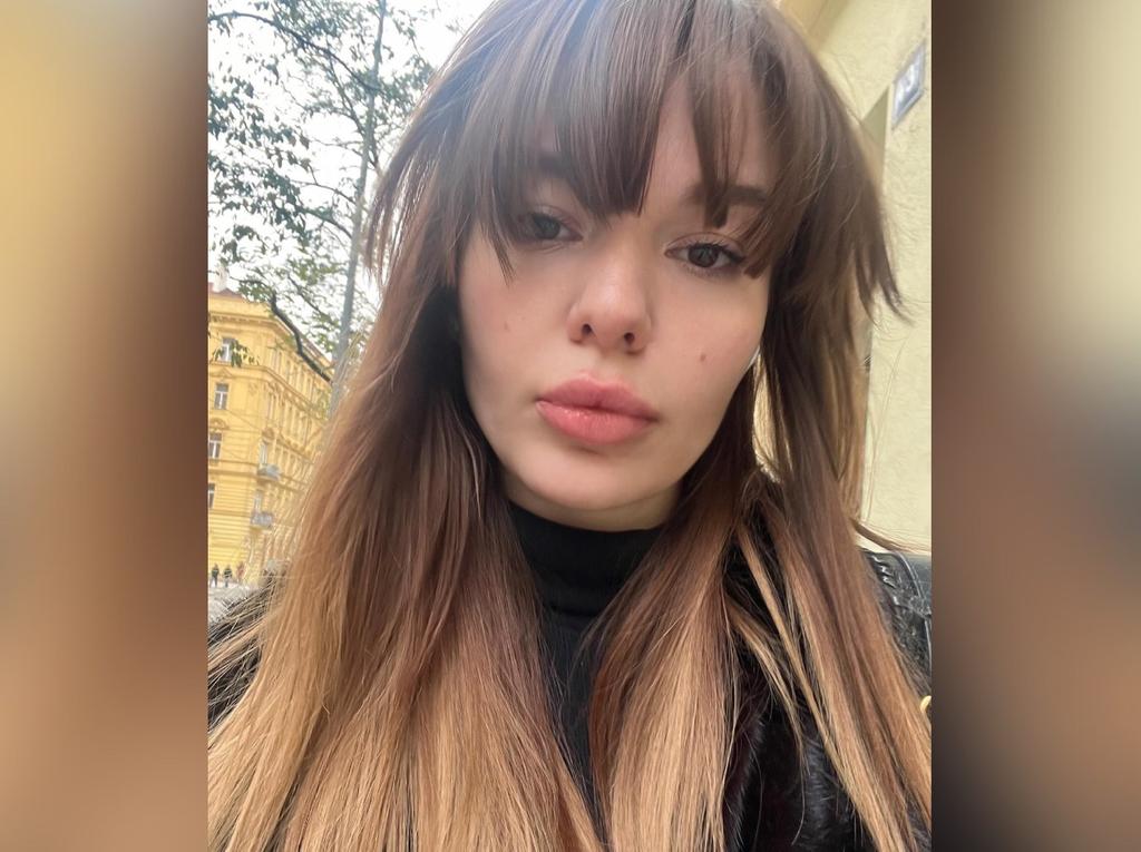 Armie Hammer & Marina Gris Split After Secret Engagement: Details