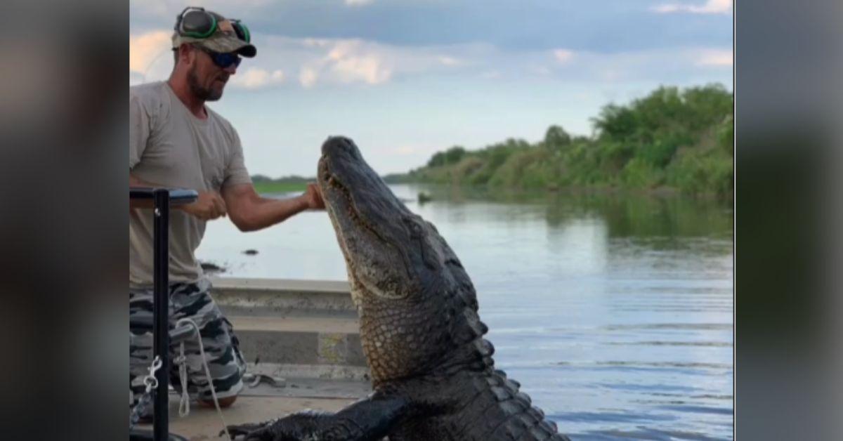 Lana Del Rey & Jeremy Dufrene's Marriage Sparks Concerns