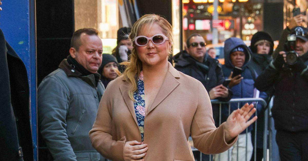 Amy Schumer's Health Problems: Everything To Know