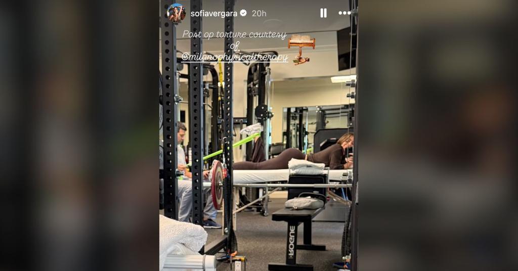 Sofia Vergara Flaunts Assets In Cheeky Snap After Knee Surgery: Photo