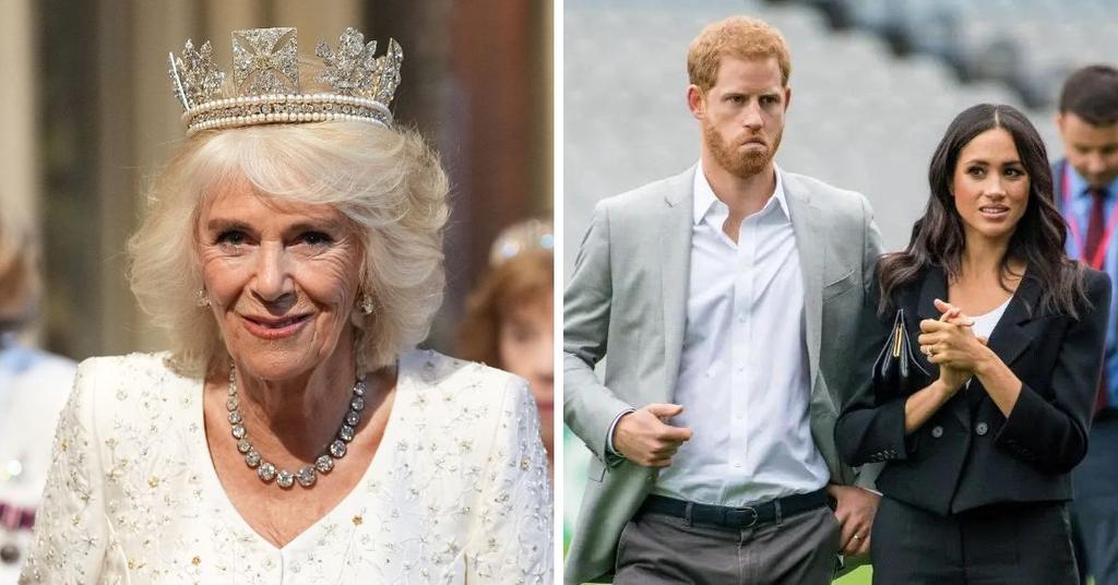 Prince Archie's Debut To Now-Queen Camilla Was Image On Smartphone