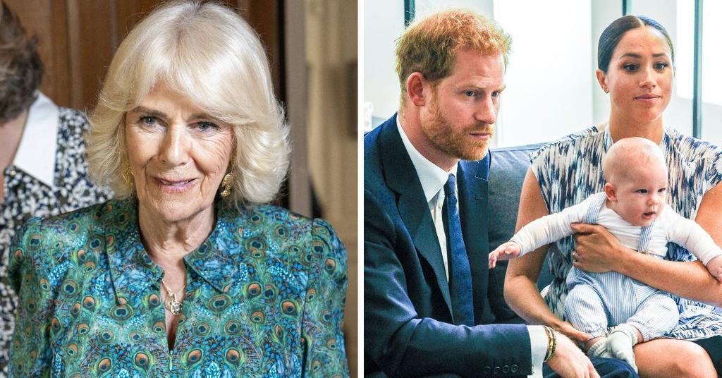Prince Archie's Debut To Now-Queen Camilla Was Image On Smartphone