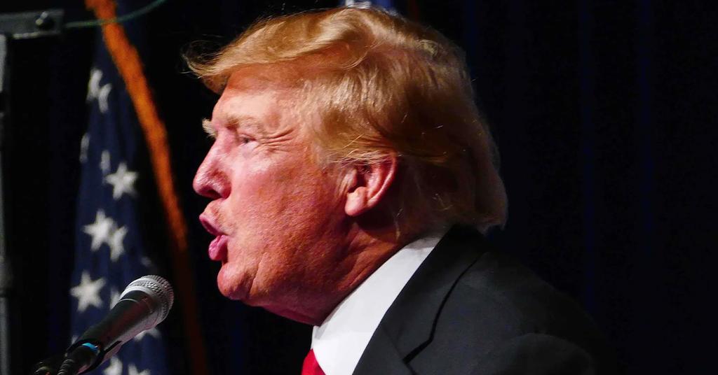 Donald Trump Urged Capitol Rioters 'To Do Something More' Than Protest