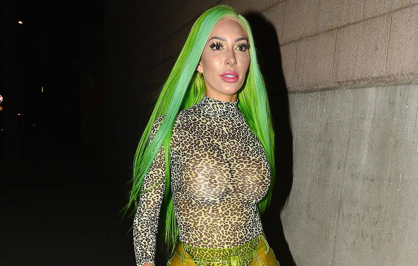 Farrah Abraham Wears Shocking See-Through Outfit