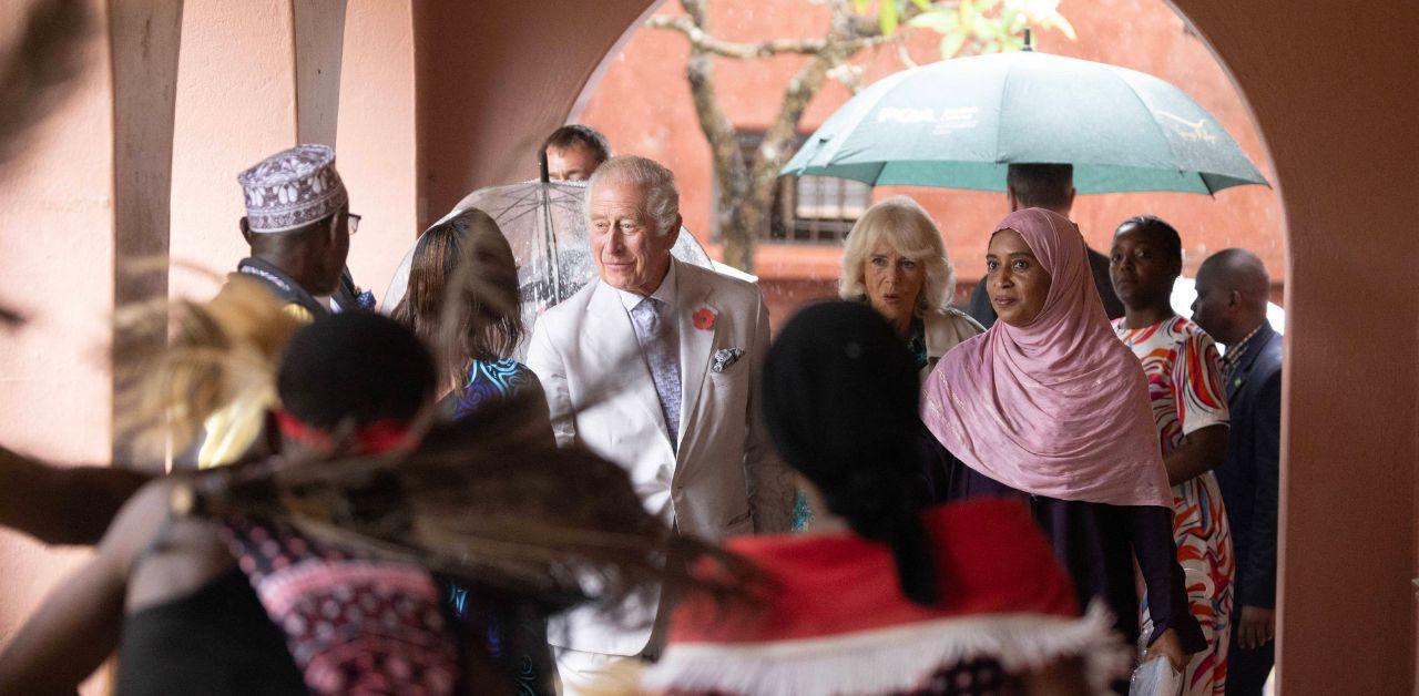 King Charles' New Portrait Criticized By Fans For Being 'Strange'