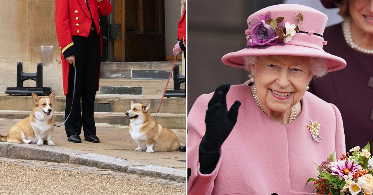 Queen Elizabeth's Corgi Dogs Were In The Room When She Died