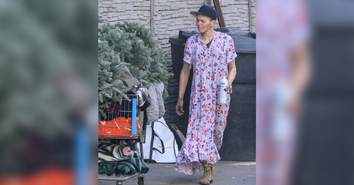 Homeless Loni Willison Seen Digging Through Trash For Tree: Photos