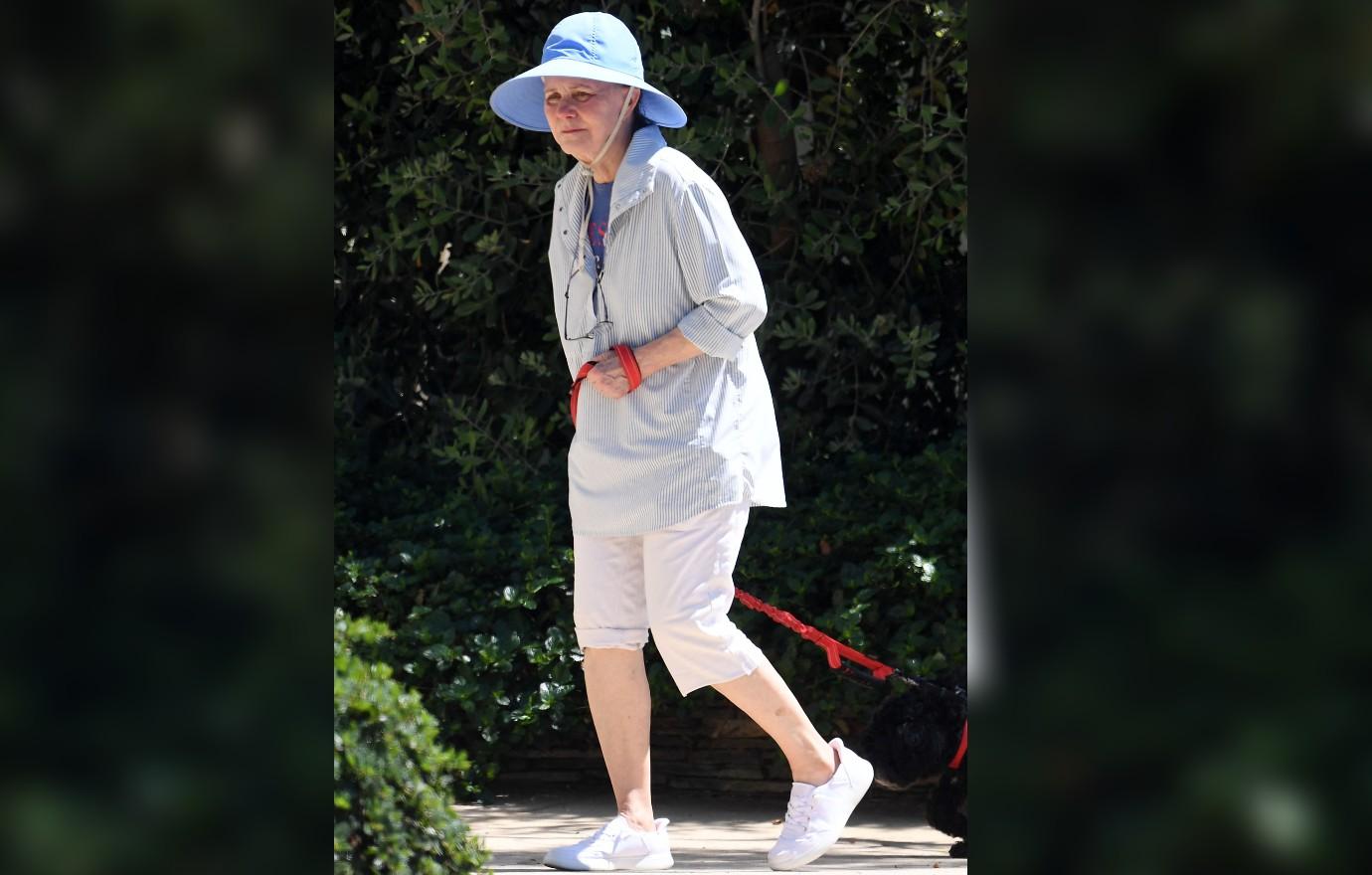 Sally Field, 77, Looks Unrecognizable As She Walks Her Dog: Photos