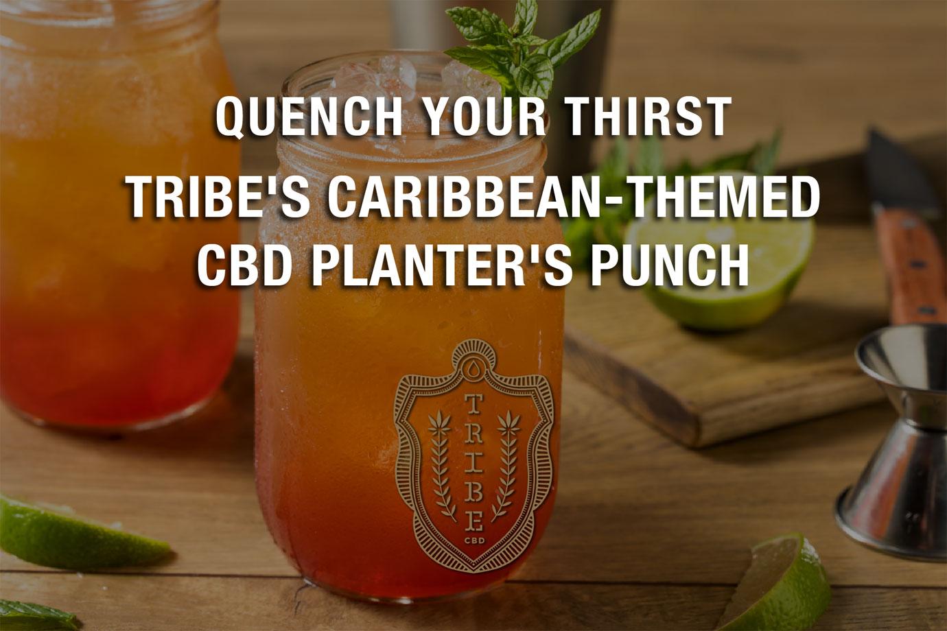 Quench Your Thirst With Tribe's Caribbean-Themed CBD Planter's Punch