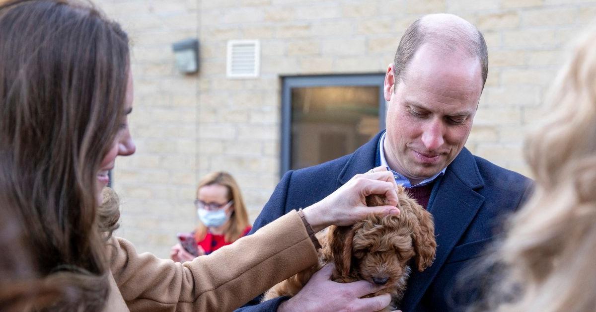 Prince William Reveals His Dog Sleeps In Bed With Him & Kate