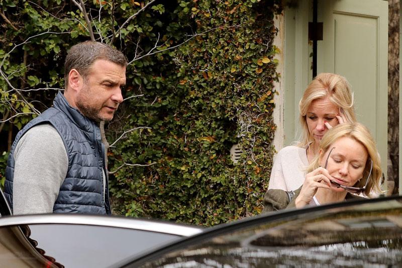 Kate Driver dating Liev Schreiber