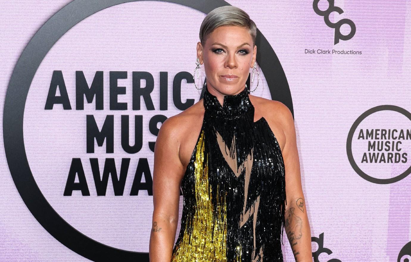Pink, 44, Fires Back At Fan Who Claims She 'Got Old'