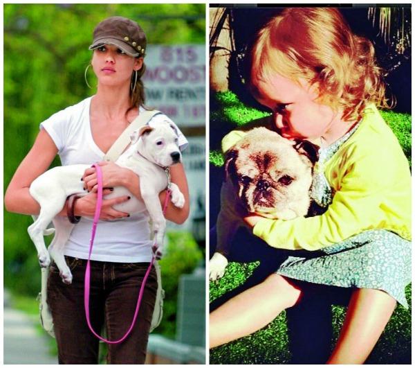 Whoa Mama! Jessica Alba Is Worth a Fortune