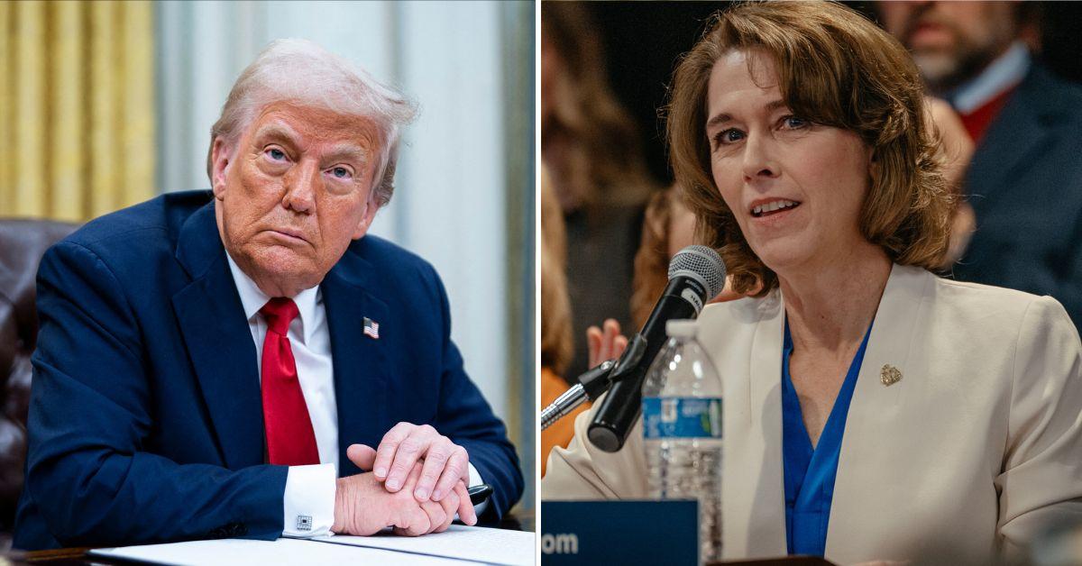 Donald Trump Attacked Susan Crawford Ahead Of Her Wisconsin Victory