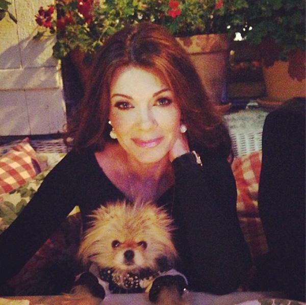 The 42 Cutest Celebrity Pets Of 2013