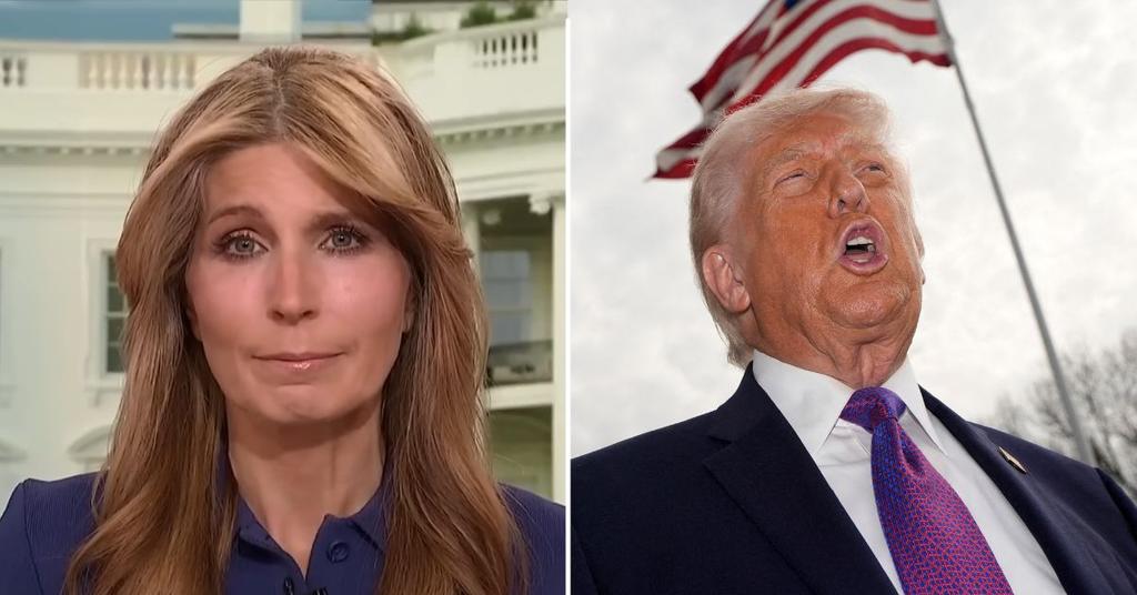 Donald Trump Is 'Sensitive' To Celebrity Criticism: Nicolle Wallace