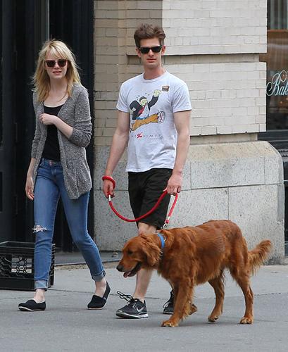 The Cutest Celeb Couples Out Walking Their Dogs