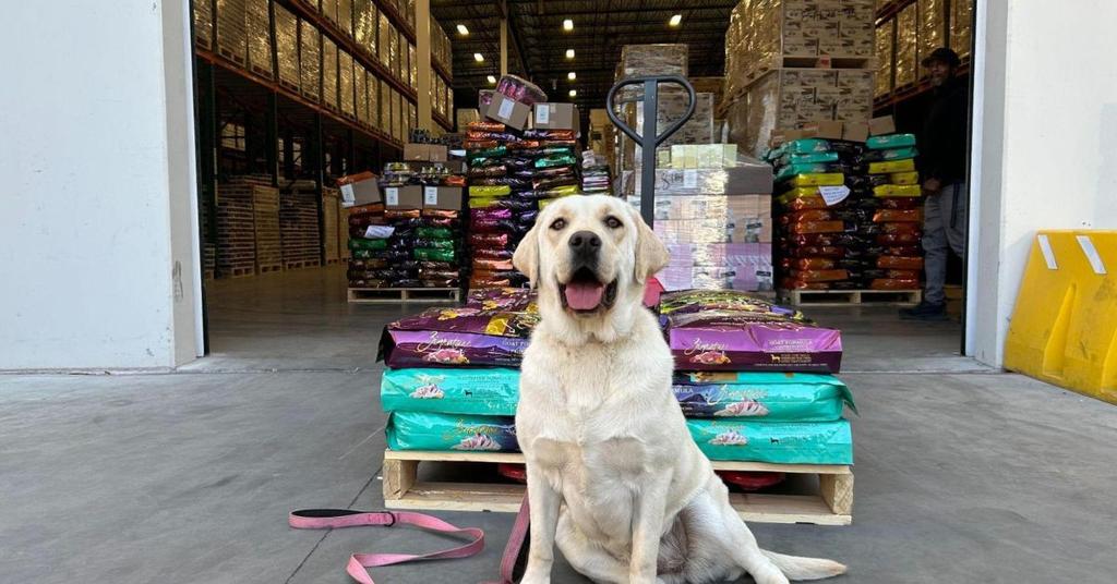 Pets Global Approaches 500 Thousand Pounds Of Food Donated To Communities