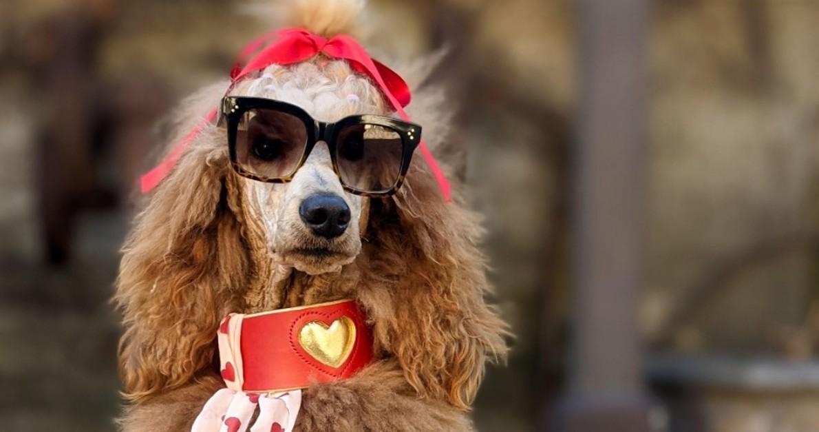 How a Passion For Dogs Inspired A Thriving Handmade Leather Art For Pets