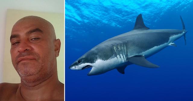 Drunk Man Killed By Shark While Trying To Relieve Himself In Ocean: Report
