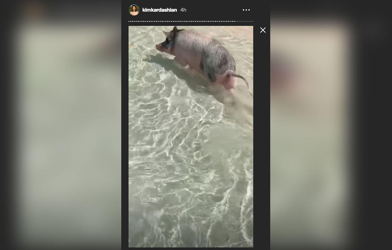 Kim Kardashian Chased By Pigs During Vacation In Bahamas