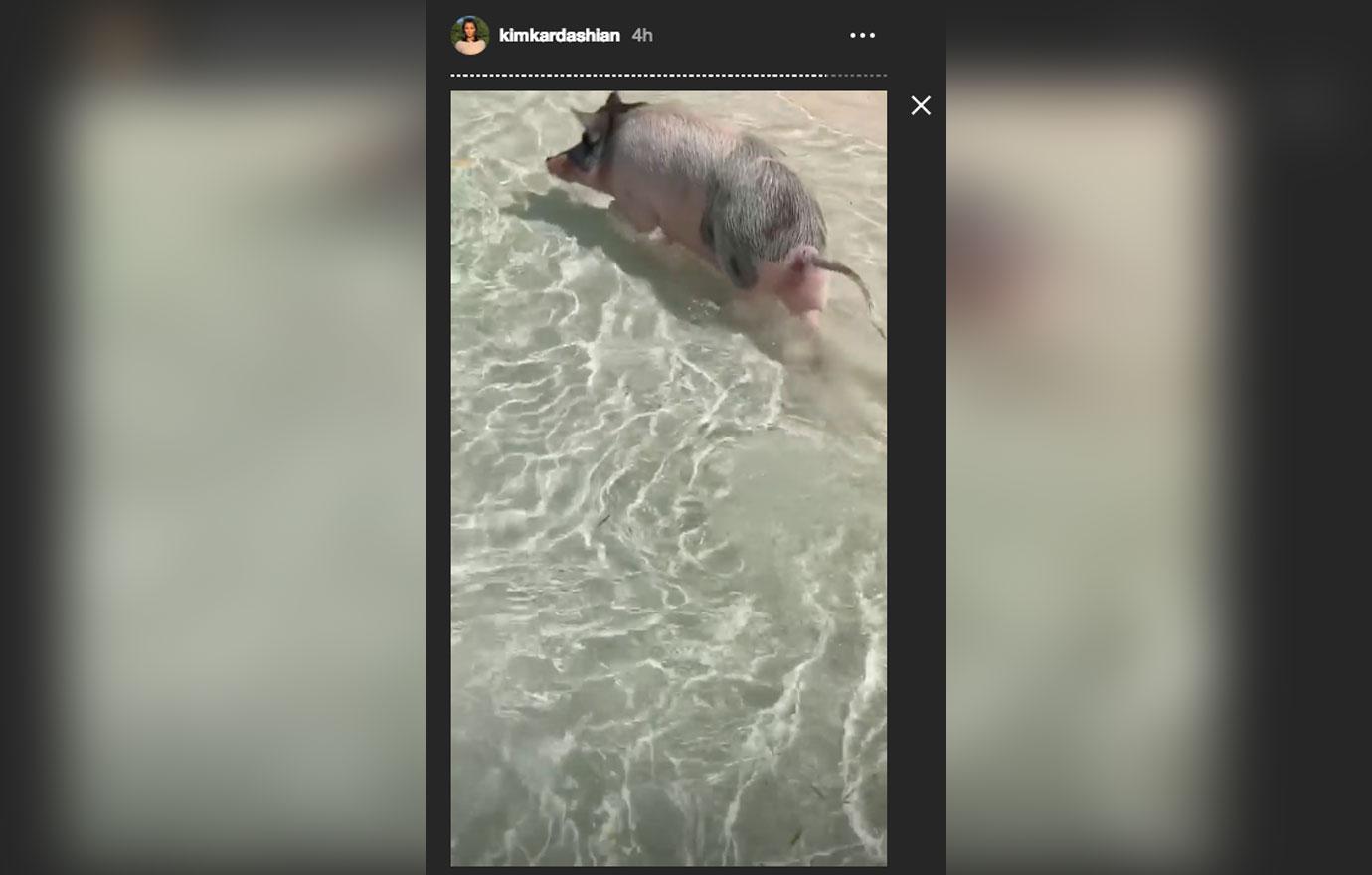 Kim Kardashian Chased By Pigs During Vacation In Bahamas