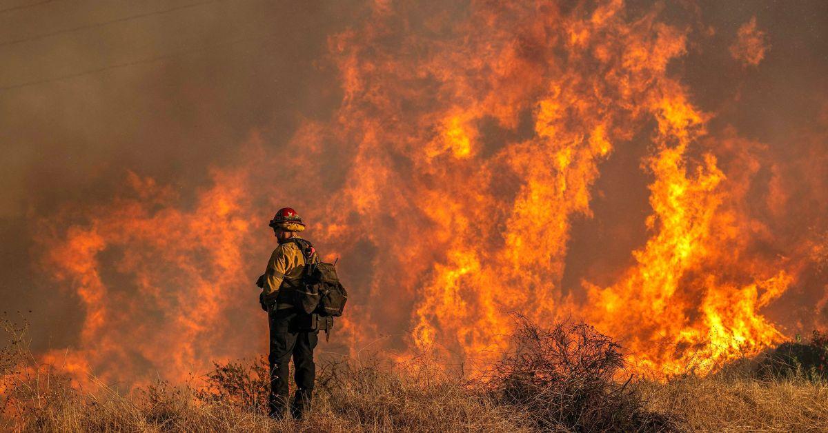 Kamala Harris Mocked After Telling L.A. Fire Victims To 'Be Patient'