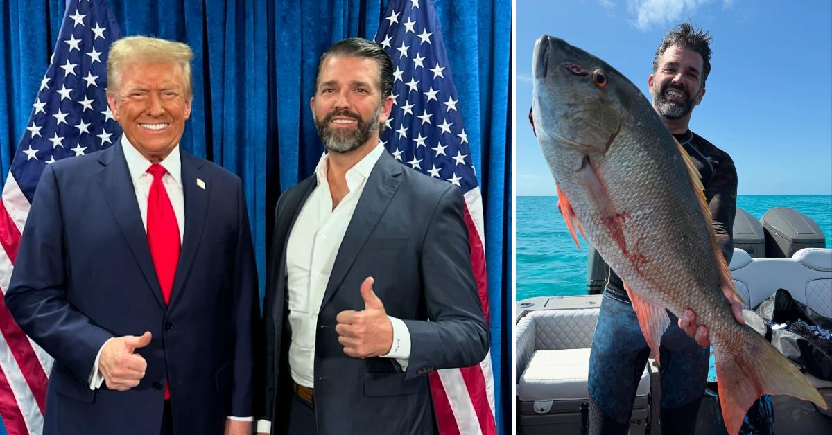 Donald Trump's Team Offers Warner Brothers A Way Into His Good Graces