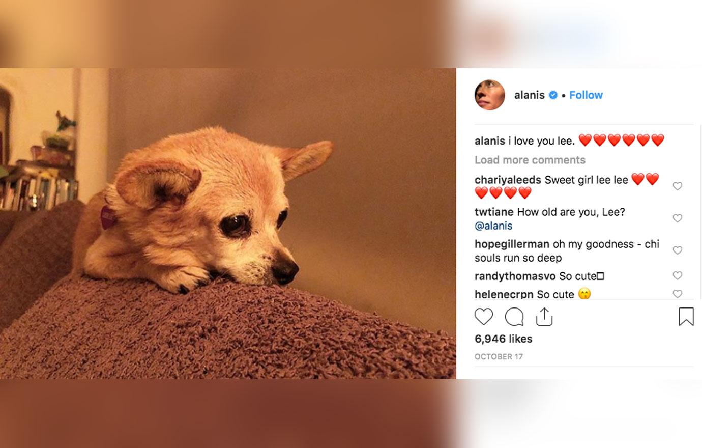 Alanis Morissette Is 'Inconsolable' After Dog Passes Away