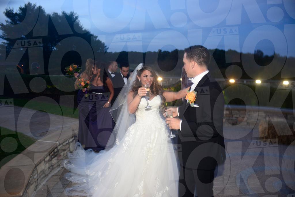 Deena Cortese’s Wedding Reception Was The Biggest Party Of 2017