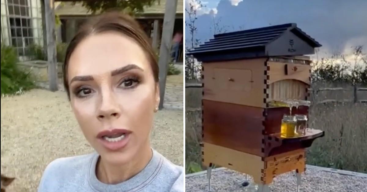 David Beckham & Victoria Beckham Share Hilarious NSFW Beekeeping Clip