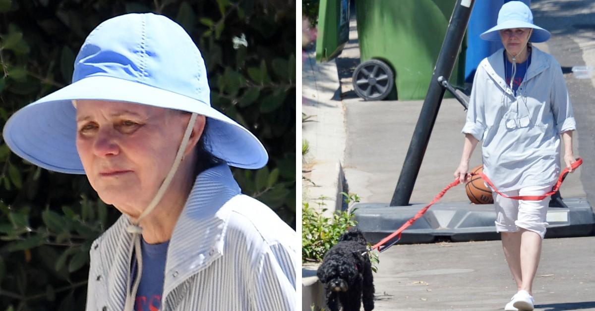 Sally Field, 77, Looks Unrecognizable As She Walks Her Dog: Photos