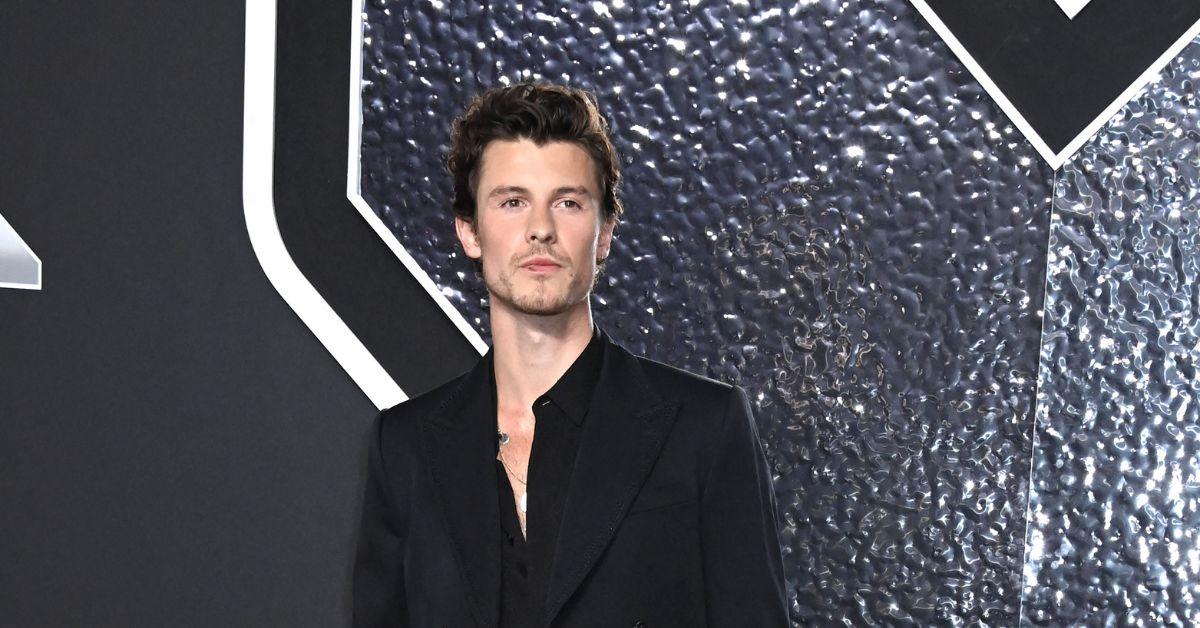 Shawn Mendes Reflects On Going To 'Therapy' & Personal Growth