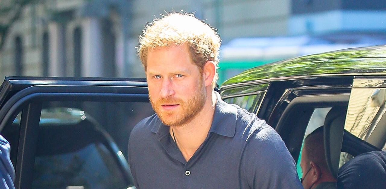 Prince Harry Spotted Walking Dog, First Public Outing Since Book Leak